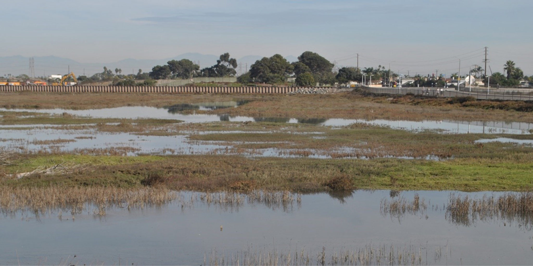 Design for Resilience: Babcock Ranch Case Study